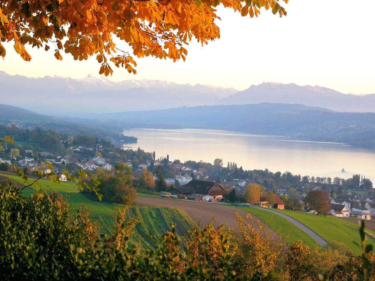 Hallwilersee - Seetal - Eichberg Webseite